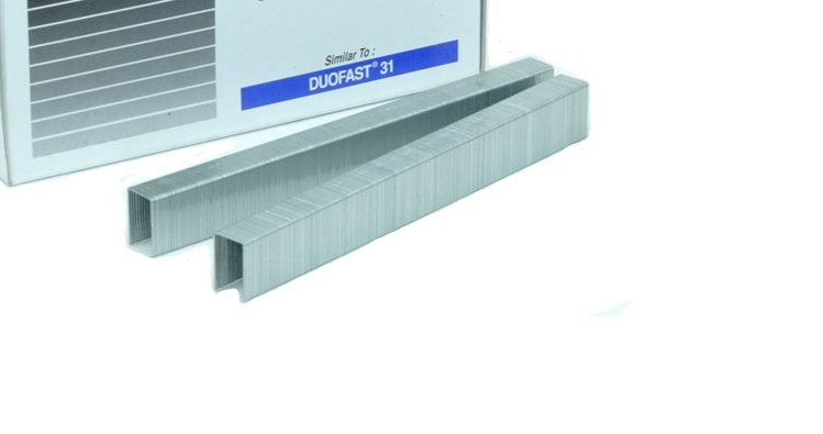 Spotnails 31004SS - 31 Series STAINLESS STEEL 1/4" Staples – Allen ...